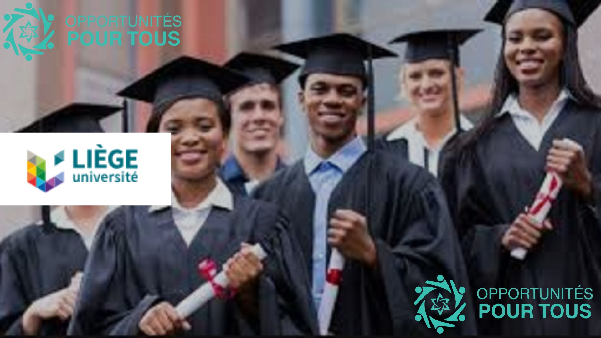 Bourse MASTER IN – WBI (appel MASTER IN 2026-2027 ...